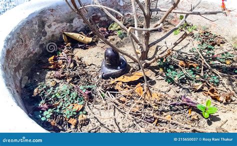 Closeup Small Shivling Stock Image Image Of Lying 215650037