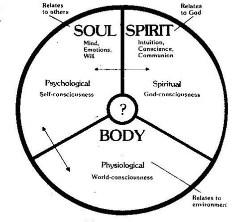 Man Is Made Up Of Body Soul And Spirit Spirit Science Mind Body