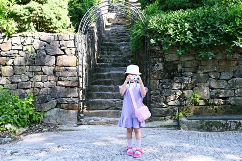 경남고성 수국현황 그레이스정원 꼭 가볼곳 네이버 블로그