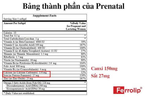 Uống Prenatal Có Cần Uống Thêm Sắt Và Canxi Không