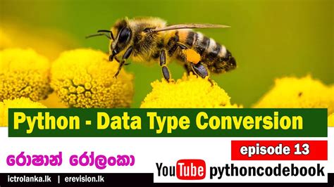 Episode 13 Python Data Type Conversion Youtube