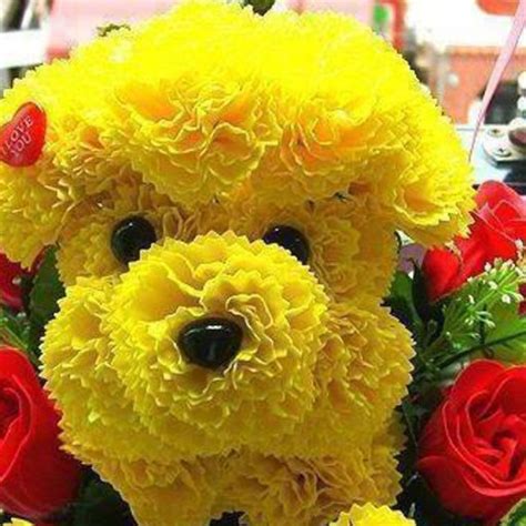 Thazin Myint Oo University Of Computer Studies Yangon Yangon Ucsy