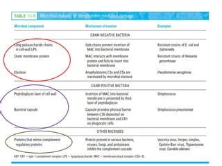 Complement System Lecture Ppt