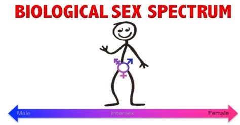 Humerus Revelations Of The Naked Ape Beyond The Binary Reexamining The Idea Of Two Sexes Humerus Revelations Of The Naked Ape Beyond The Binary Reexamining The Idea Of Two Sexes