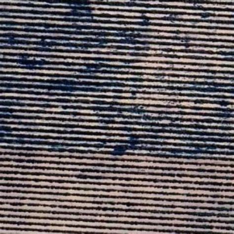 Olive15deg Instance Segmentation Dataset By Segmentation