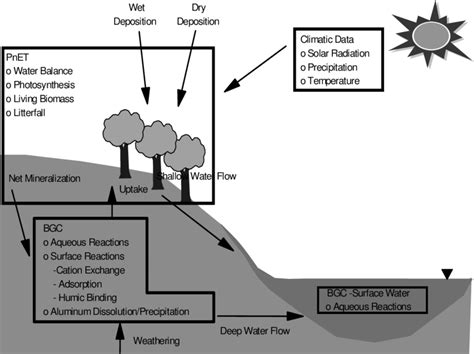 Schematic Overview Of The Biogeochemical Model Pnet Bgc Download