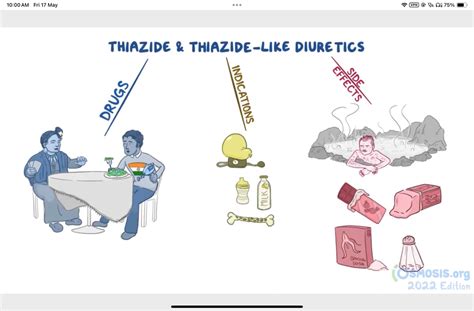 Diagram Of Thiazide And Thiazide Like Diuretics Quizlet