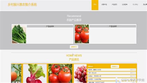 独有源码 Java Jsp乡村振兴惠农推介系统44k6n从不会做毕业设计到成功完成的过程与方法 Csdn博客