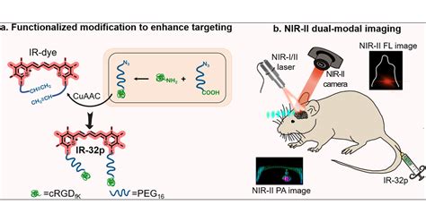 A Nir Ii Photoacousticnir Iia Fluorescent Probe For Targeted Imaging
