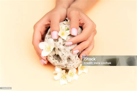 매니큐어 자스민 꽃을 들고 세련된 손톱과 손 베이지 색 배경에 돌을 들고 파스텔 매니큐어와 여성 손가락의 닫기 고품질 이미지