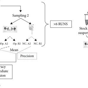 Strategy Design For Cell Count Validation A Two Samplings Of Cell Download Scientific