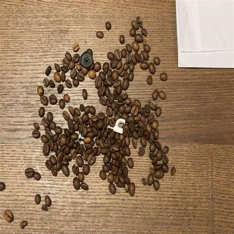 Coffee Bean Impurity Detection Object Detection Dataset By Kamel Gerado