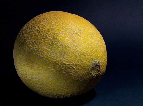 A kind of melon 1 Free Photo Download | FreeImages