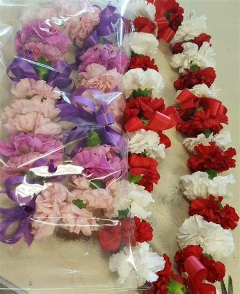 Carnation Lei In Pleasanton Ca Alexandrias Flowers