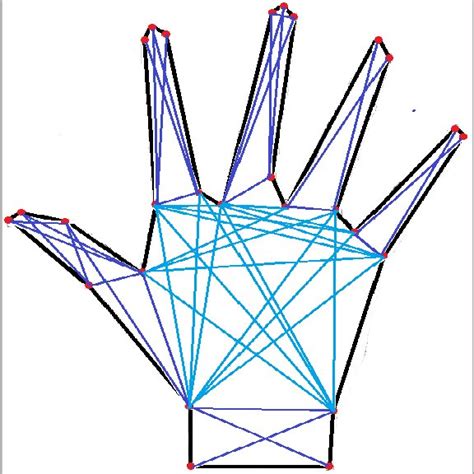Polygon Decomposition Into Non Concave Sub Graphs Download Scientific