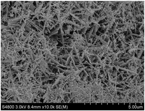 Preparation Method For Ws2 In Situ Biological Carbon Composite Anode Material Eureka Patsnap