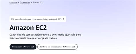 creación paso a paso de una instancia ec2 en aws y su configuración