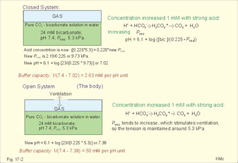 Buffer Capacity In Vivo Predictive Dissolution Comparing The Effect