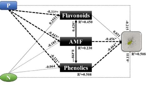 Structural Equation Modeling Sem Indicated The Direct And Indirect