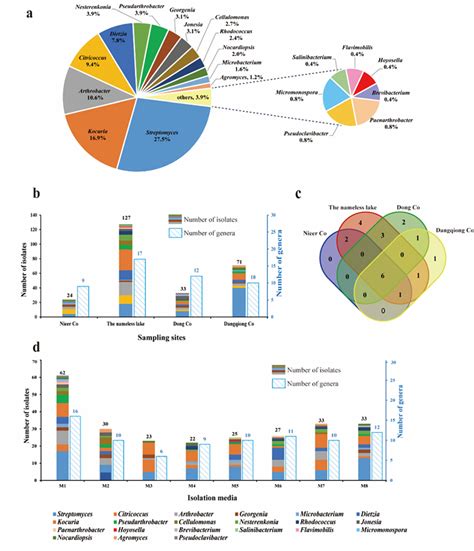 Figure 2 From Bioprospecting Of Actinobacterial Diversity And Antibacterial Secondary