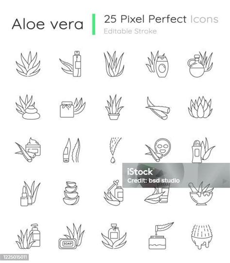 알로에 베라 픽셀 완벽한 선형 아이콘 세트 천연 화장품 및 피부과 약초 사용자 정의 가능한 얇은 선 윤곽 심볼 격리된 벡터 개요 그림입니다 편집 가능한 스트로크 알로에베라에