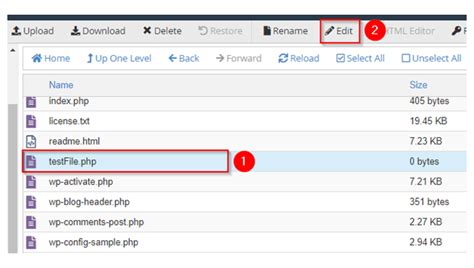 WordPress Error Establishing A Database Connection Fix
