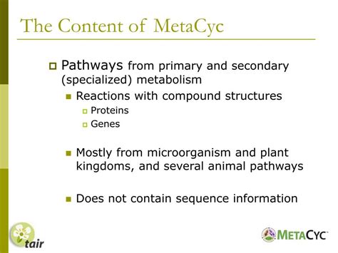 Ppt Metacyc And Aracyc Plant Metabolic Databases Powerpoint