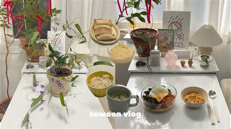 Sub 봄맞이 식물 쇼핑 또 하다 냉장고 털이 집밥 일상소고기 무국 비빔밥 콘파이 만들기 일상 Vlog Youtube