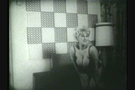 Vintage Vixens Big Top Adult DVD Empire