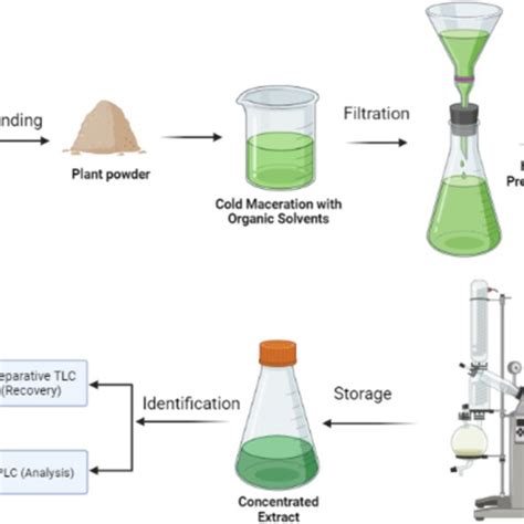Extraction Isolation And Identification Procedure Of Genistein