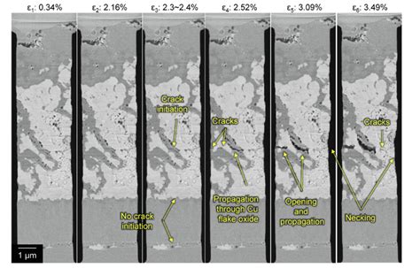 In Situ Fe Sem Observation Of Thermally Aged Ag Cu Composite Sinter Download Scientific Diagram