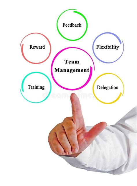 Principles Of Team Management Stock Photo Image Of Person Virtual