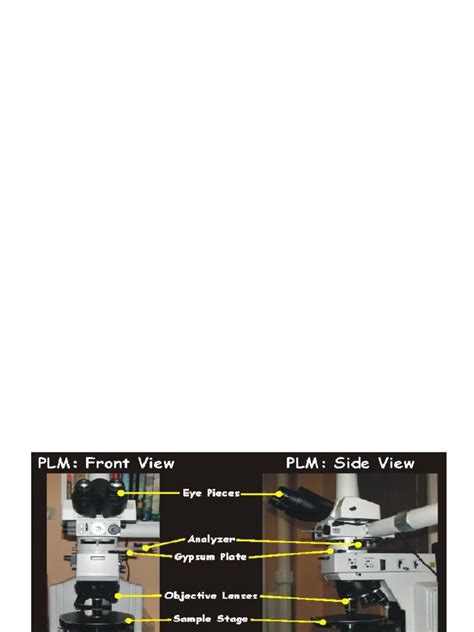 Pdf Parts Of The Microscope Pptx Dokumen Tips
