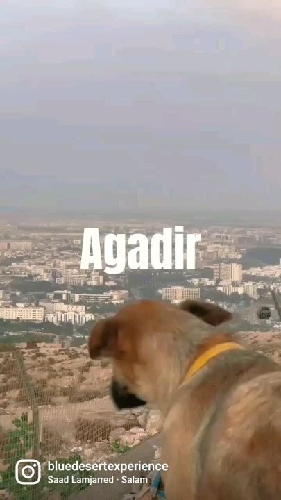 Soufiane C Posted On Linkedin