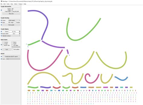 Genome Assembly Using Hifi Reads Rcac Bioinformatics
