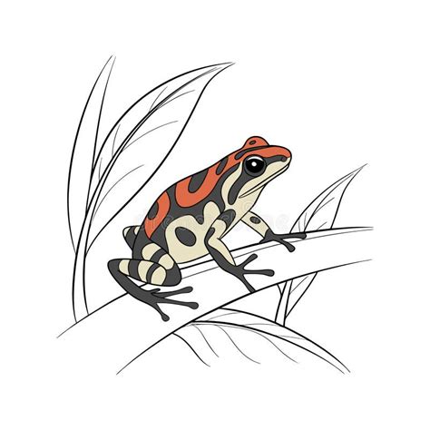 Costa Rican Variable Harlequin Toad In A Forest Stock Illustration