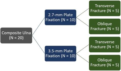 Summary Of Relevant Experimental Variables Download Scientific Diagram