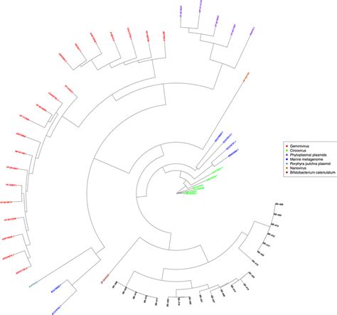 Maximum Likelihood Phylogenetic Tree Phyml V30 Download