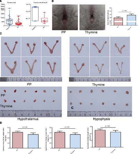 Figure 8 From Multi Omic Analysis Of Precocious Puberty Girls Pathway Changes And Metabolite