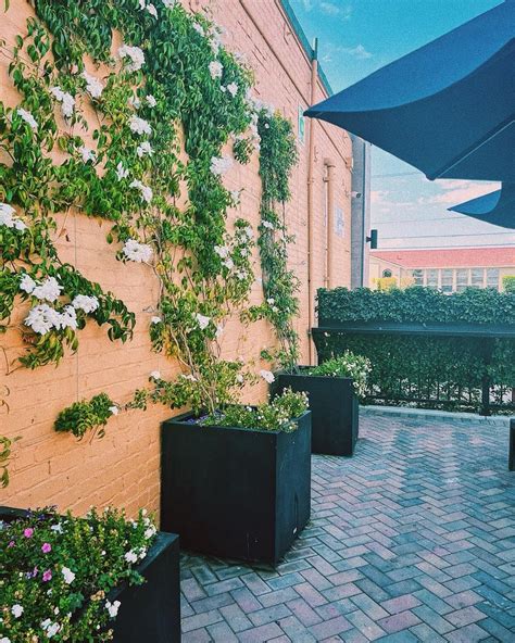 El Charrito Express Social Wave