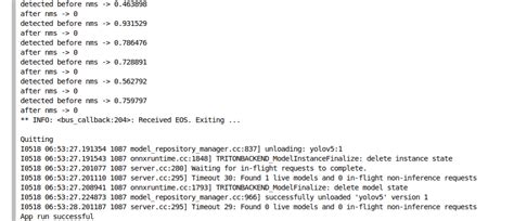 yolov5 nvidia deepstream and nvidia triton inference server