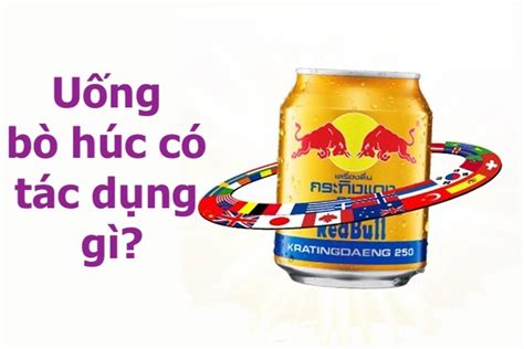 Uống Bò Húc Có Tác Dụng Gì 4 Lợi ích Và 5 Tác Hại Khi Uống