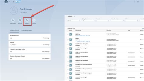 Fiori For S4hana Adapting Terminology In Sap Fi Sap Community
