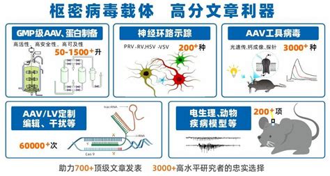 神经活动的电生理记录：在体电生理和离体电生理 知乎
