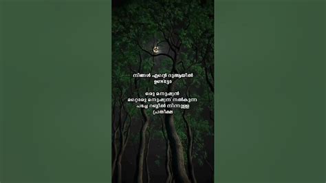 നിങ്ങൾ എന്റെ ദുആയിൽ ഉണ്ട്ട്ടോ Youtube
