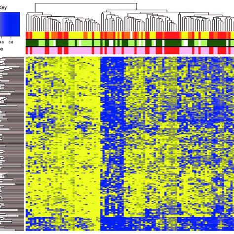 Unsupervised Two Dimensional Hierarchical Clustering Analysis Of The