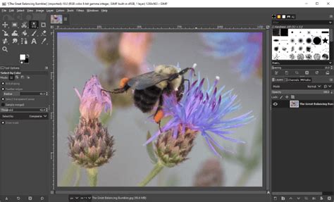 How To Select Color In GIMP Quick Tips Guides