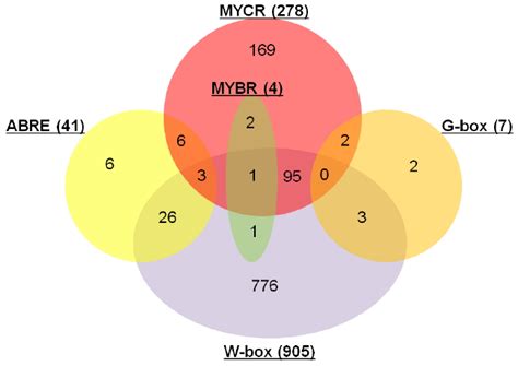 Significantly Expressed Downstream Genes Containing Cis Regulatory