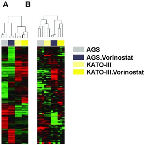 Hierarchical Clustering Gene Expression Analysis Of Gastric Cancer Cell