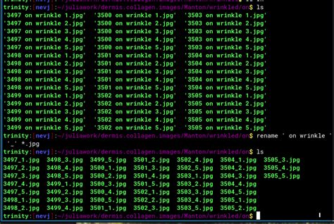 What Is The Best Way To Rename A Heap Of Files Shell Scripting And Linux Command Line Its